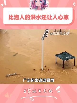 这是我第一次认识怀集 #怀集洪水 #哄抢 #人性 #赵一鸣零食 #内容启发...