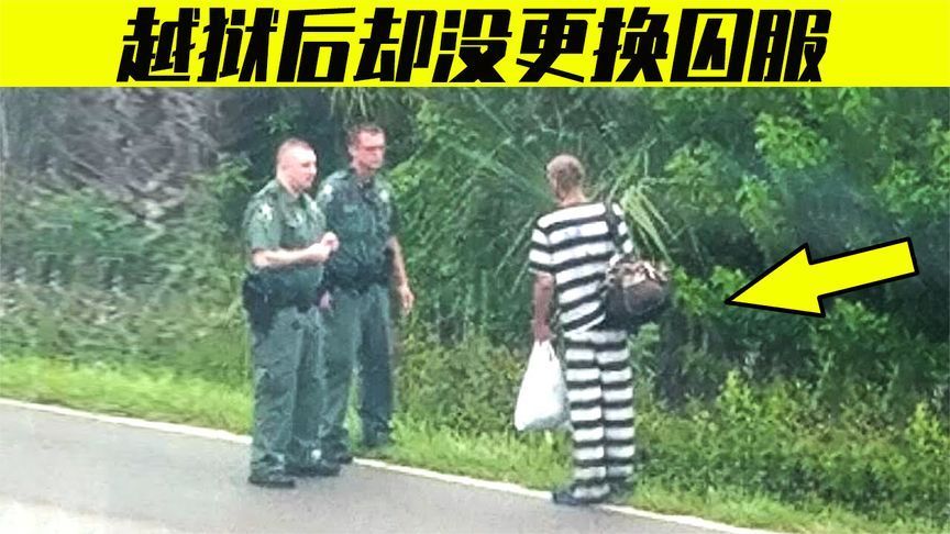 4件没有按预期进行的事情,计划赶不上变化
