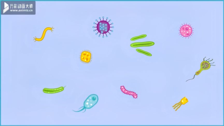 认识病毒 病毒是什么 科普知识 万彩动画大师制作