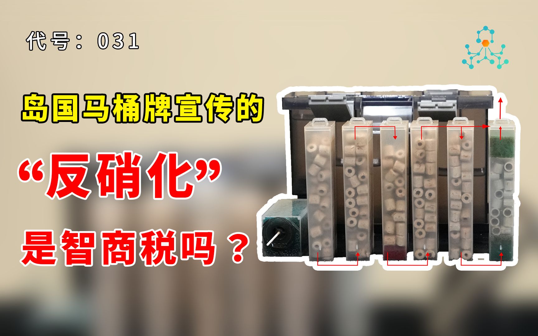 水族圈最具争议的反硝化免换水,到底是不是智商税?