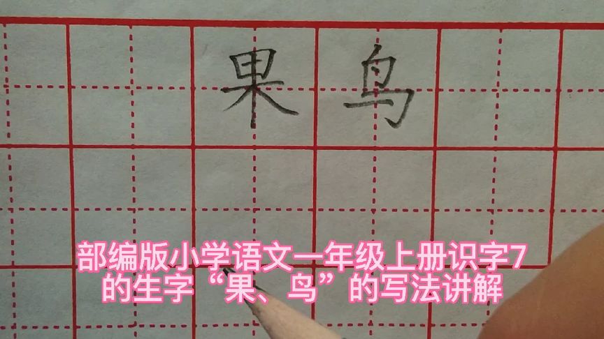 部编版小学语文一年级上册识字7的生字“果、鸟”写法讲解