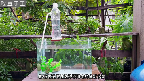 不用电塑料瓶制作鱼缸水泵,成本花不到2块钱,效果却是出乎意料