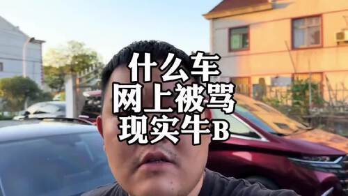 网上让人骂爆炸,现实却没人骂的车丰田埃尔法丰田威尔法