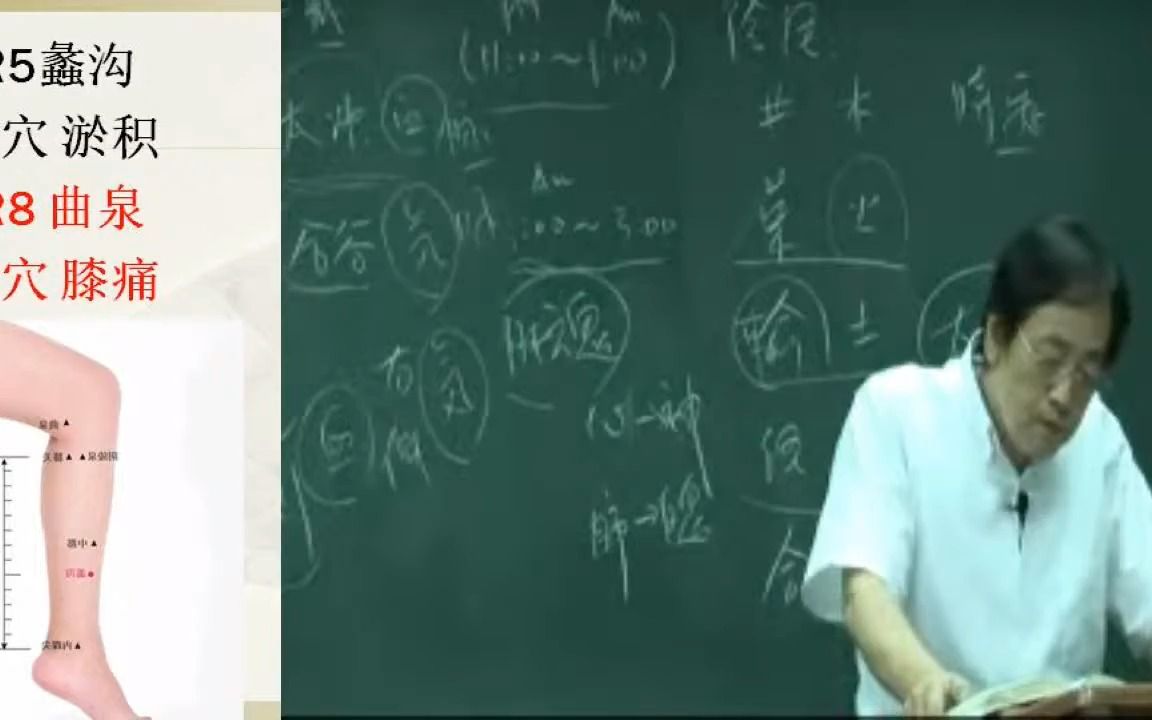 118蠡沟穴 曲泉 倪海厦 人纪 针灸 足厥阴肝经.mp4