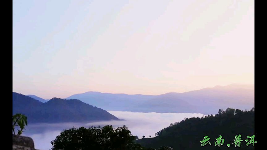 云端上的咖啡——云南小粒.普洱咖啡