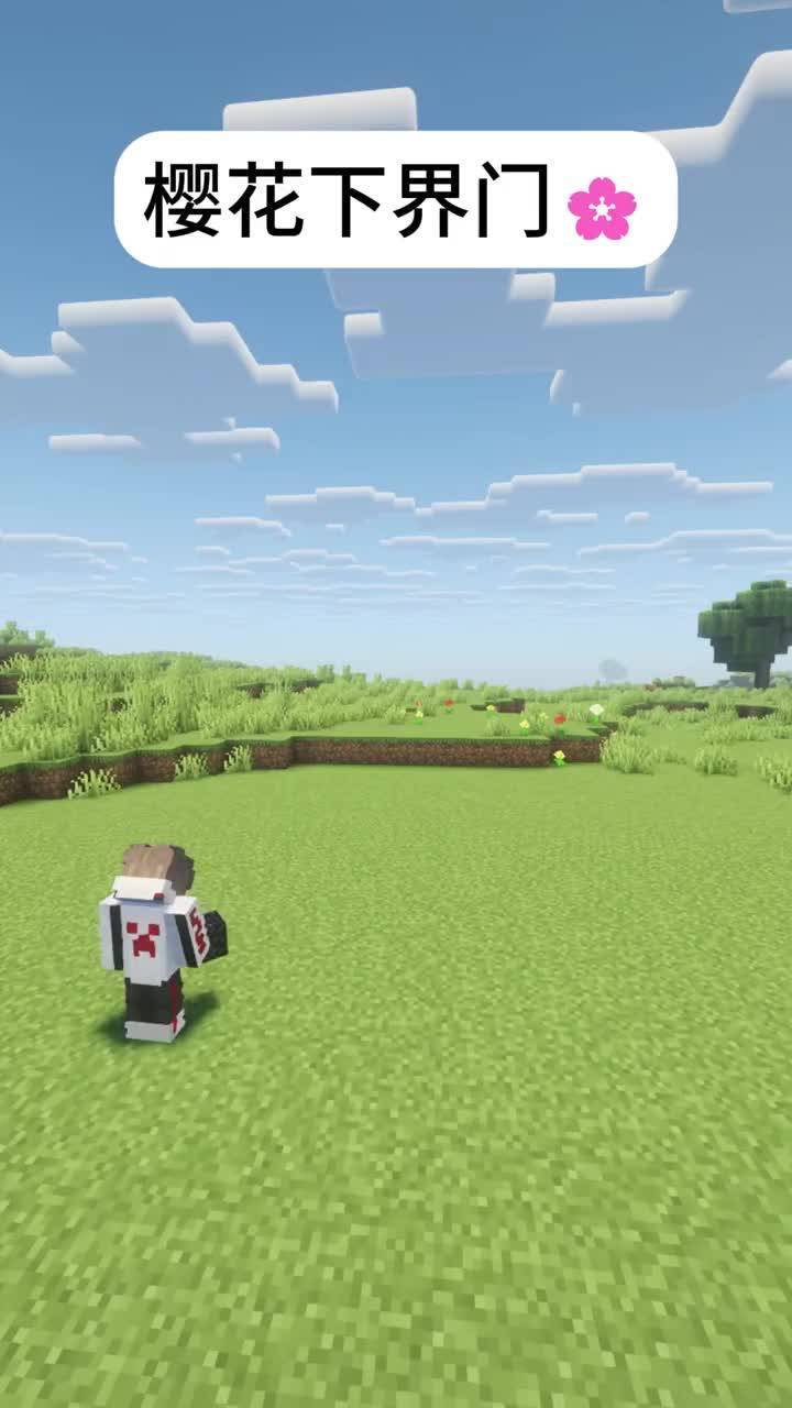 我的世界樱花下界门