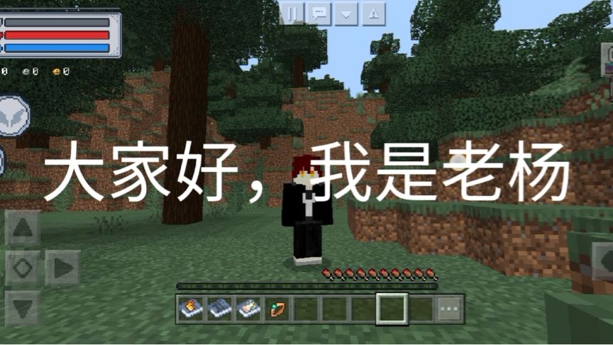 我的世界 斗气生存