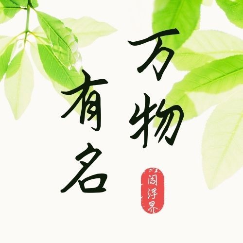万物有名 