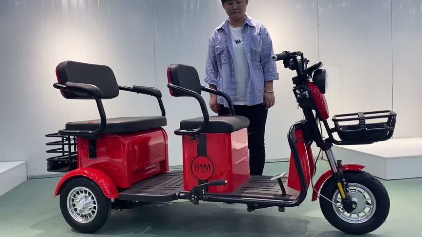 #电动三轮车 #新国标电动车 #总有一款适合你