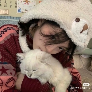 凌晨一点的猫177 