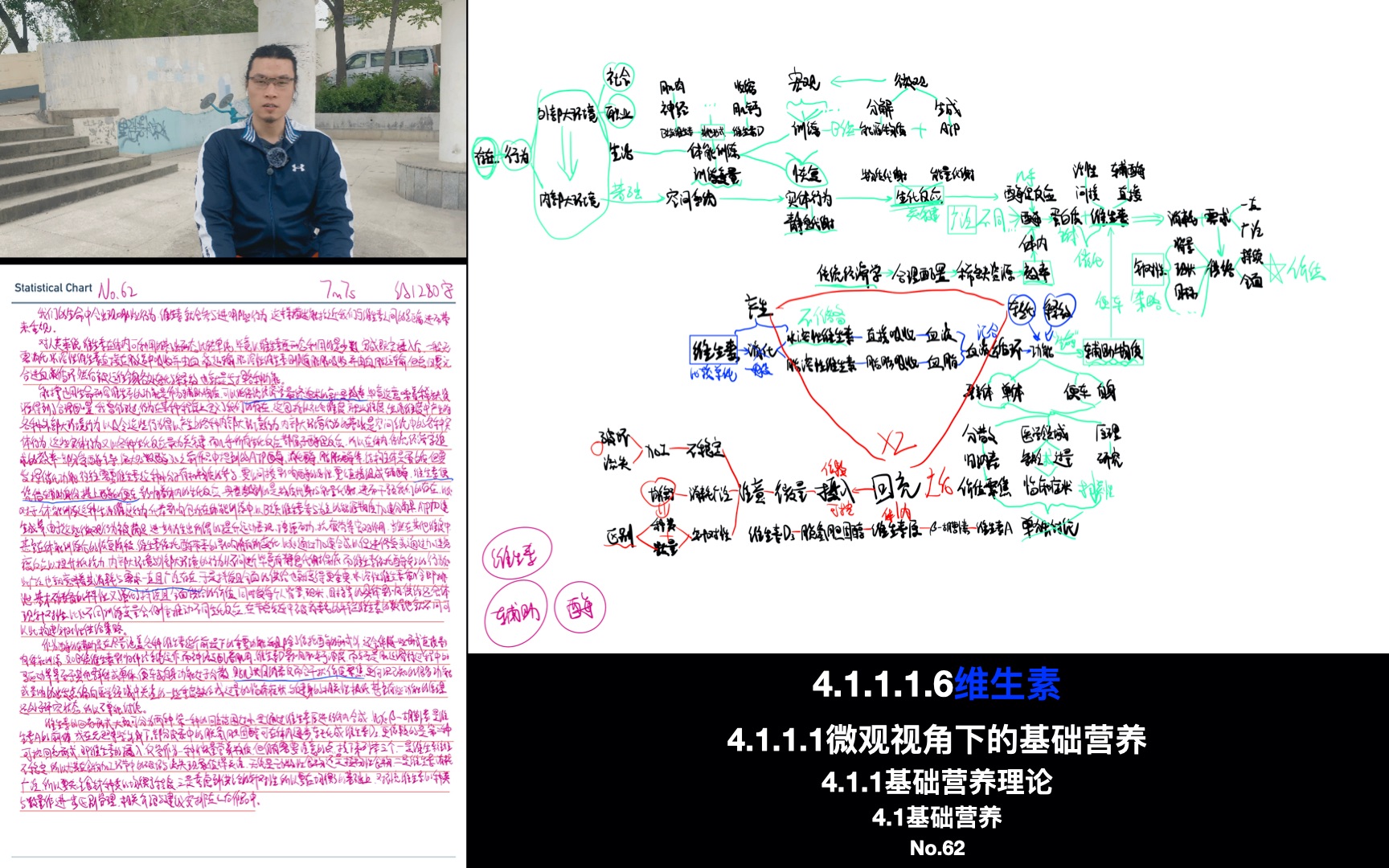 维生素的哪种功能与健身联系更密切?