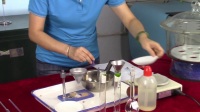自由膨胀率完整版