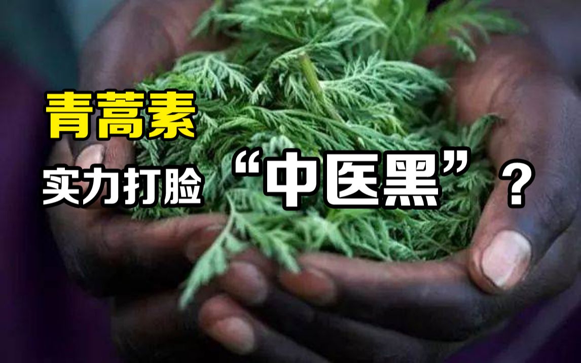 青蒿素的发现,是否实力打脸了“中医黑”?