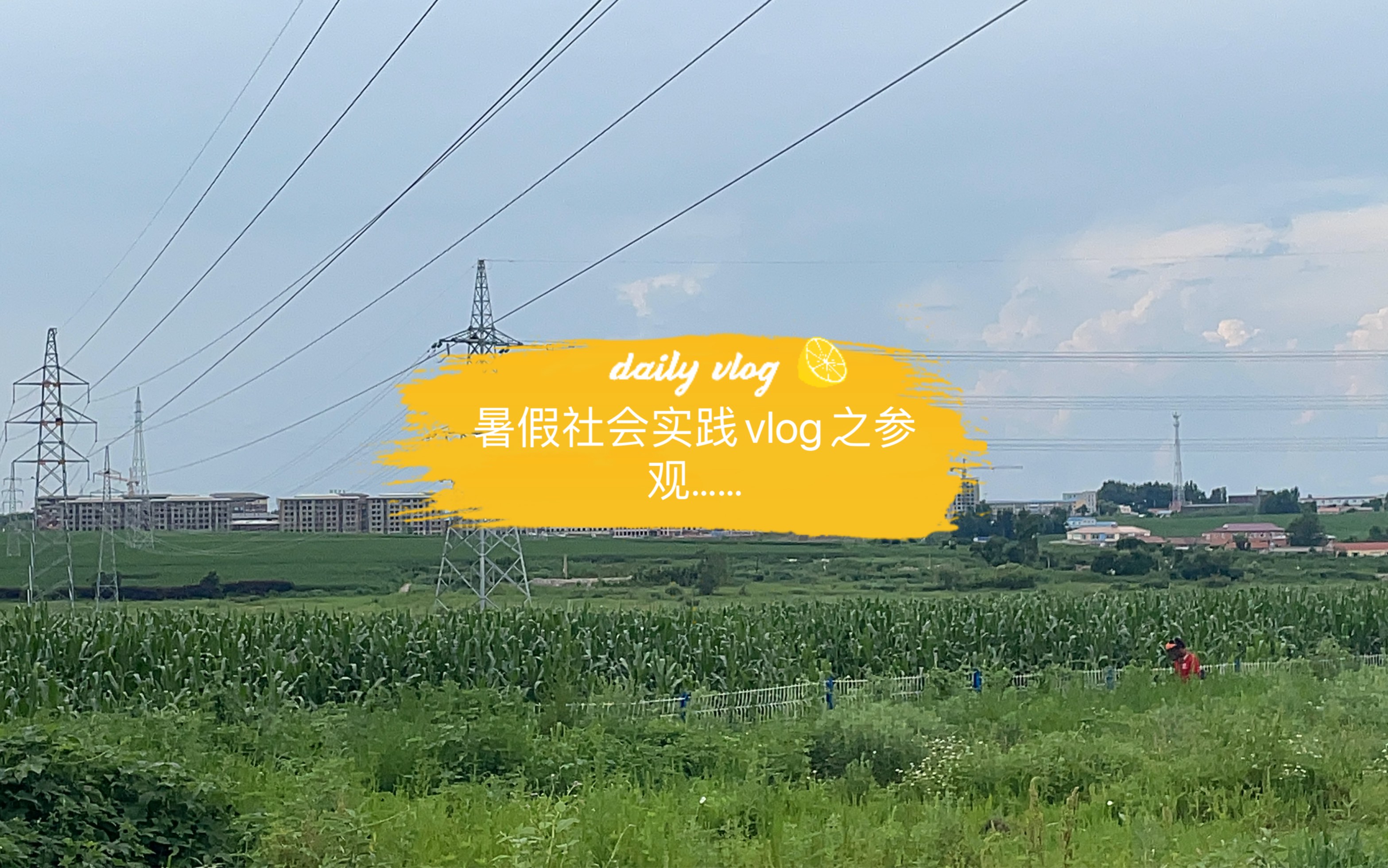 暑假社会实践vlog(大学生返家乡志愿者)