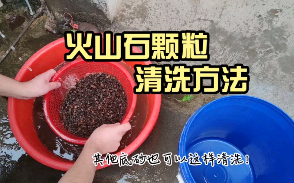 火山石颗粒的清洗方法来了,简单省力又干净,其他底砂也可这样洗