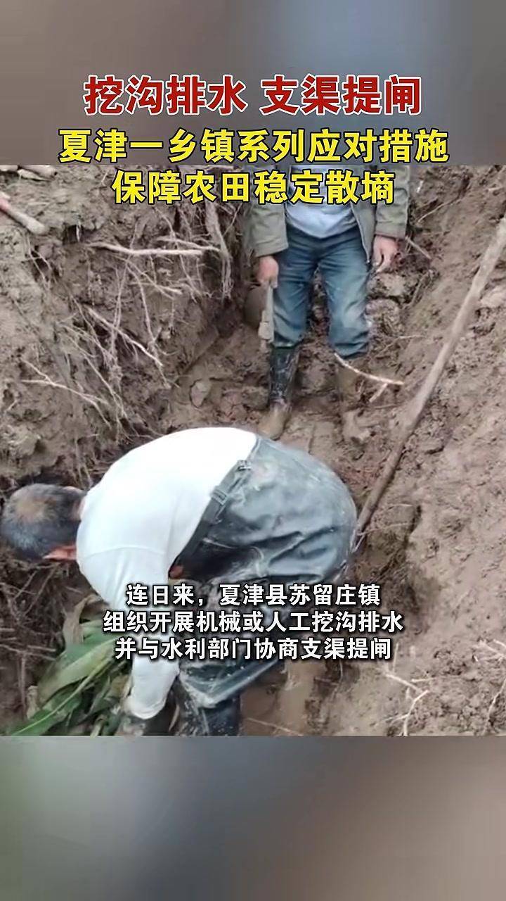...夏津县苏留庄镇通过开展挖沟排水、与水利部门协商支渠提闸、组织...
