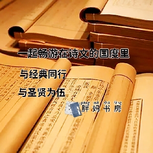 胖妈书房 