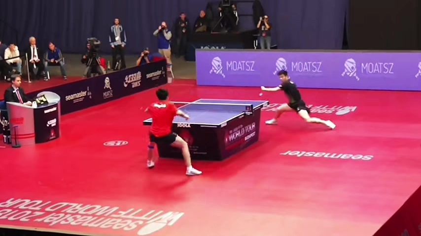 观众视角感受一下樊振东的超级正反手,两面重炮#樊振东 #乒乓球