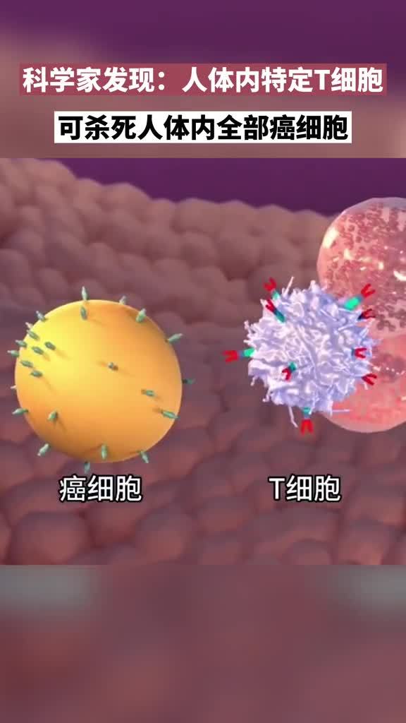 科学家最新发现,人体内的特定T细胞可杀死全部癌细胞