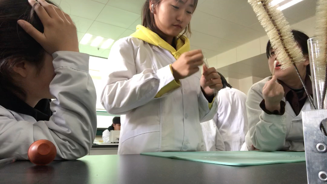 sp样品的采集制备
