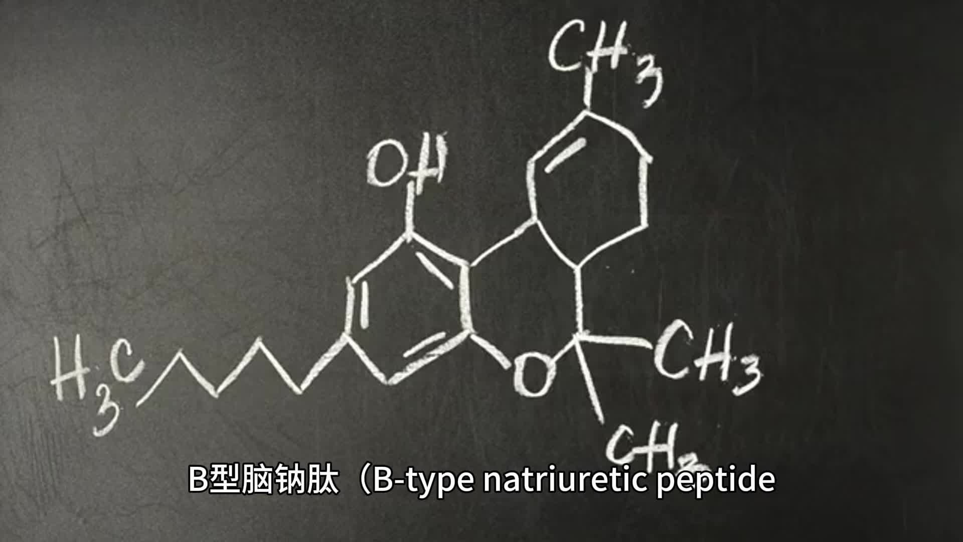 B型脑钠肽(BNP)抗体——博迈伦