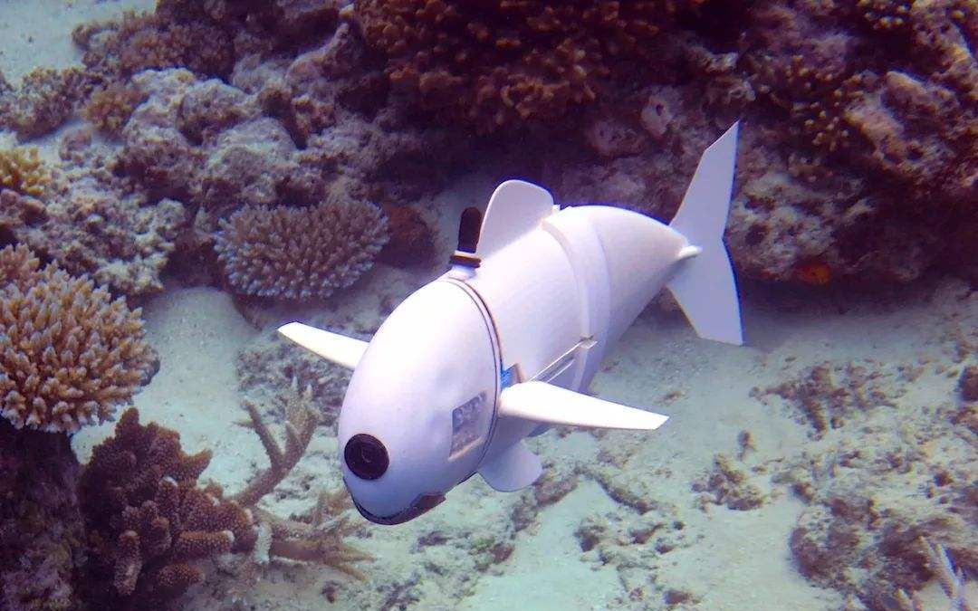 不敢相信,人类科技已经如此发达,以动物为灵感!