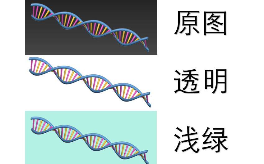 PS扣除或更换背景