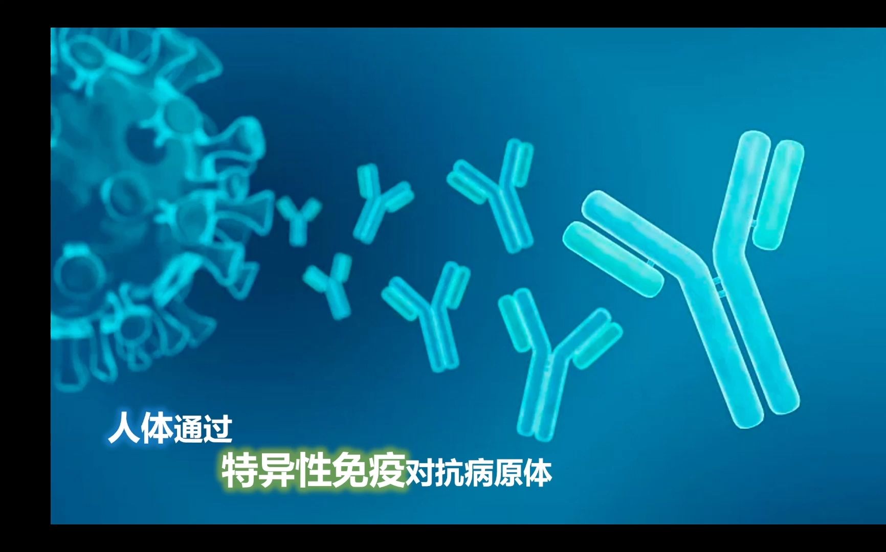 ...版高中生物选择性必修一4.3人体通过特异性免疫对抗病原体 截取视频