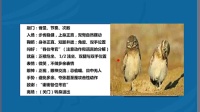 2014聊城市直事业单位卫生专业知识结构化类面试讲座