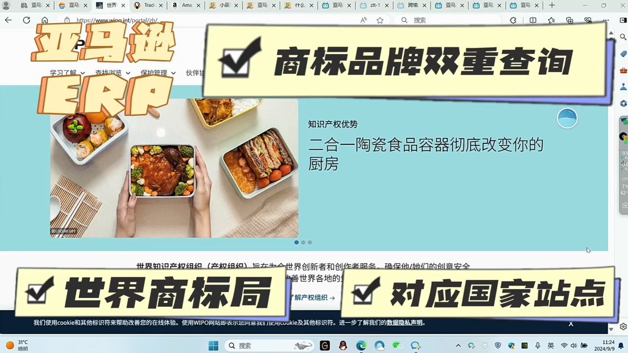 亚马逊ERP商标品牌查询,世界商标局和对应国家站点双重查询,双重...