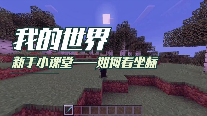 我的世界新手小课堂【如何看坐标】