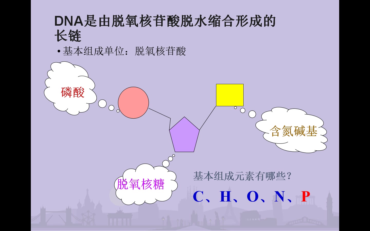 DNA分子的结构微课