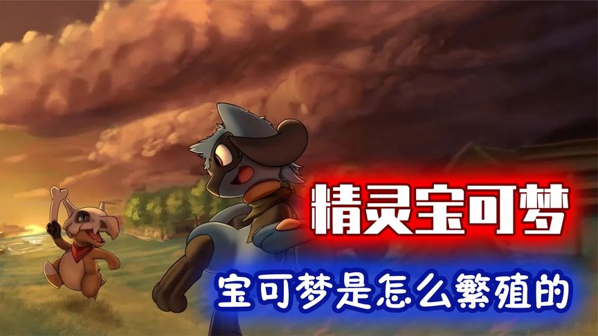 精灵宝可梦:宝可梦是怎么繁殖的?
