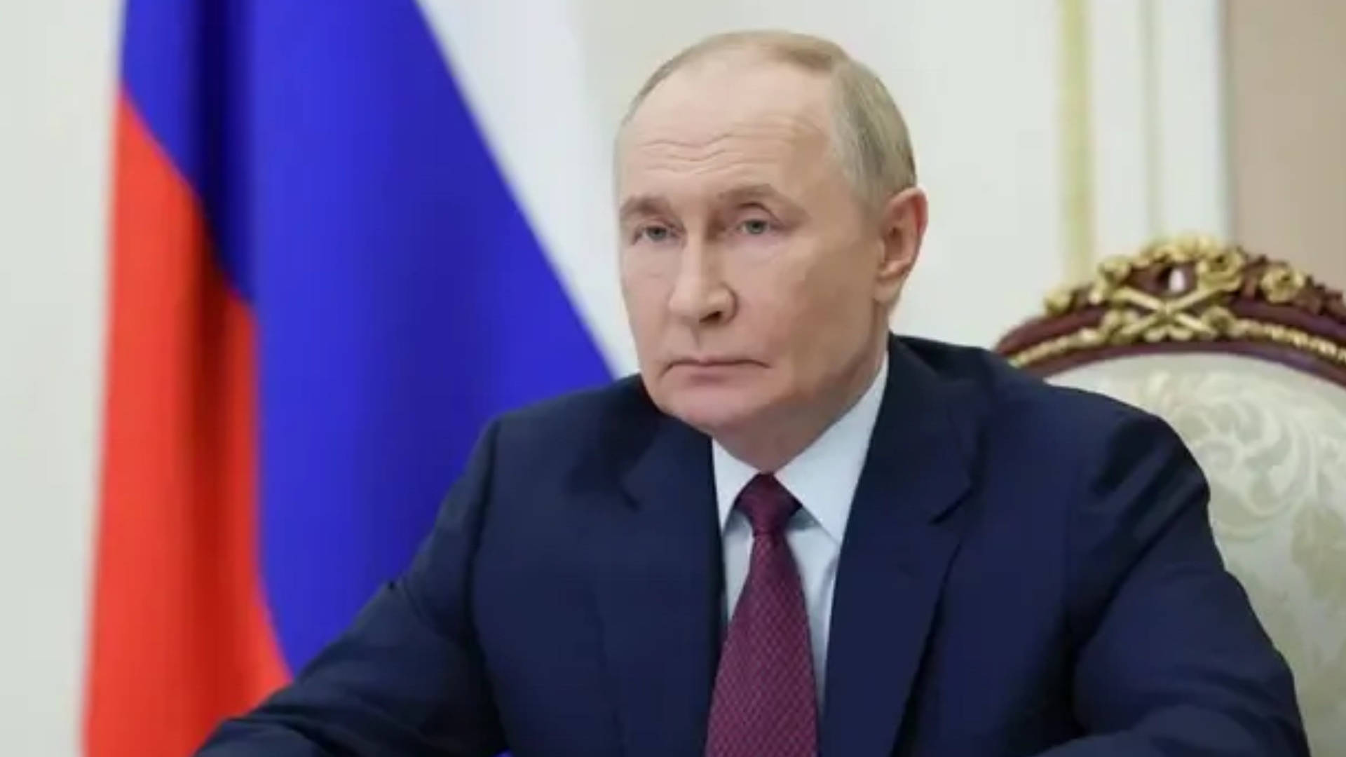 普京将赴美出席G20峰会