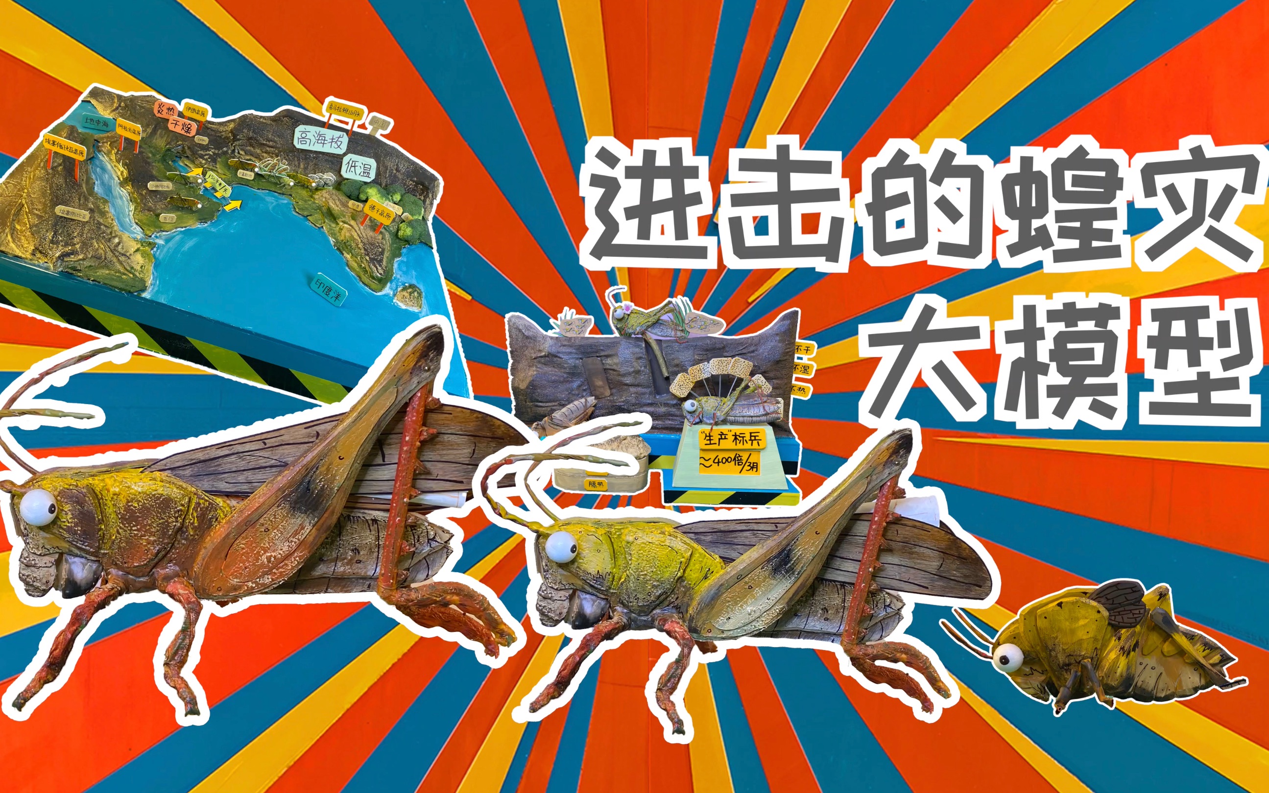 【模型师来原儿】蝗灾蔓延,戳视频,带你了解沙漠蝗虫进击的一生。(p.s...