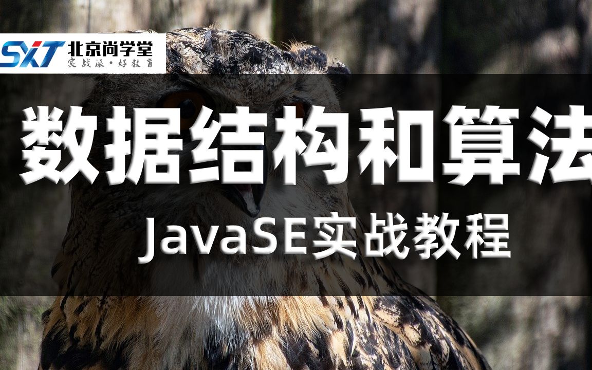 大白话学懂JavaSE数据结构和算法_JavaSE数据结构和算法视频教程_...