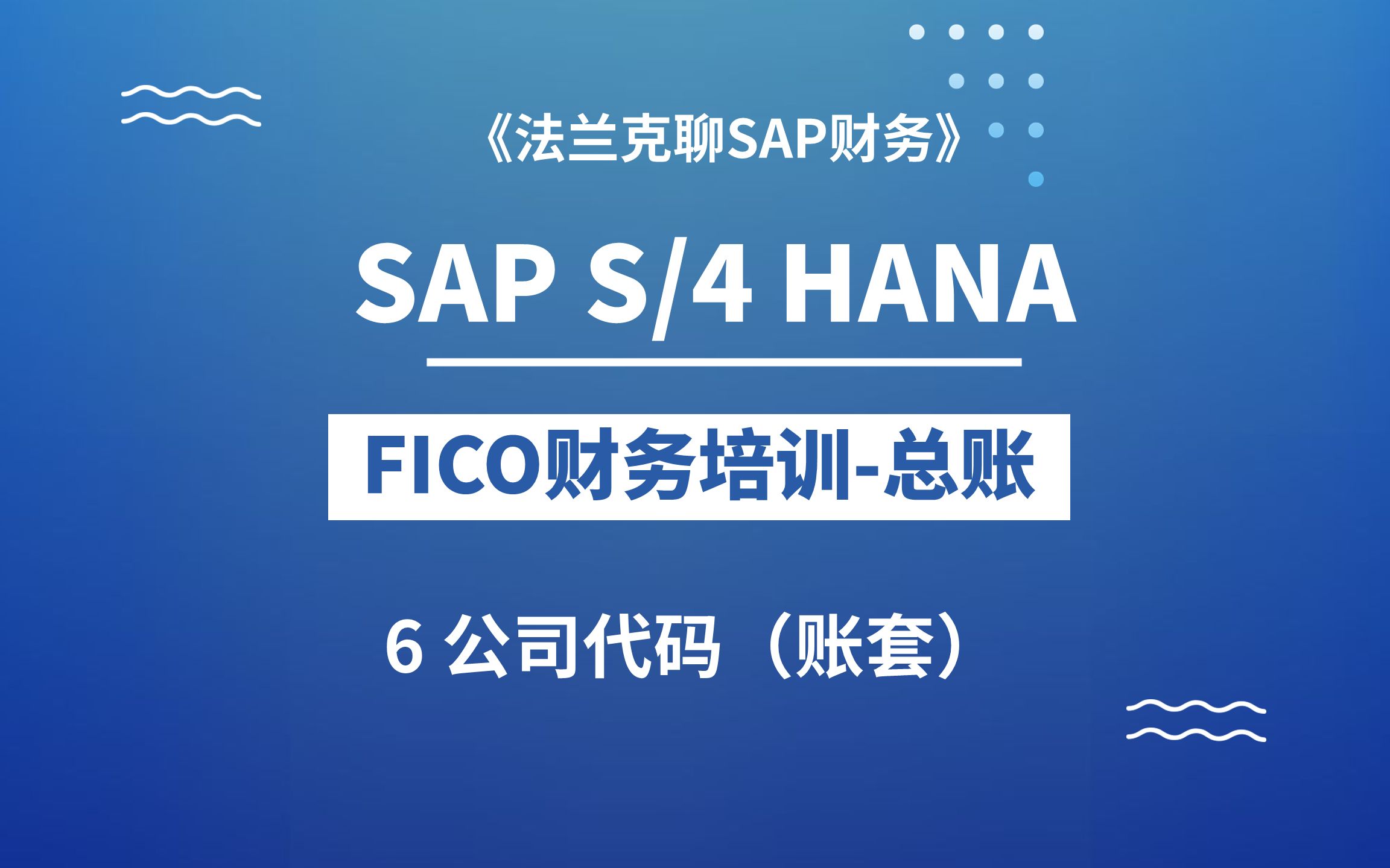 SAP最新S/4 HANA FICO培训6:SAP公司代码(账套)