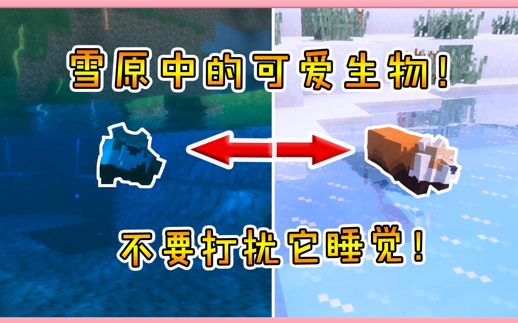 我的世界模组:生活在雪原地区的可爱生物!随时随地都在睡觉!