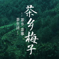 茶乡梅子