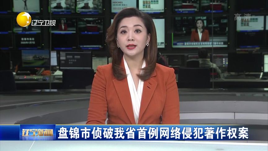 盘锦市侦破辽宁省首例网络侵犯著作权案