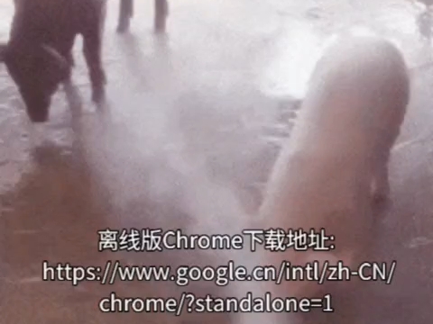 如何离线安装chrome浏览器