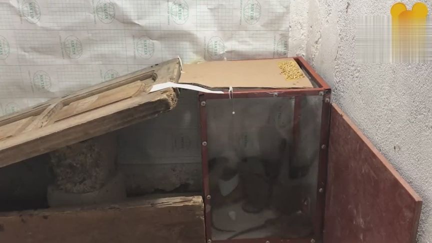 最佳老鼠陷阱,2019捕鼠器把老鼠捉拿归案,玻璃笼自制老鼠陷阱!