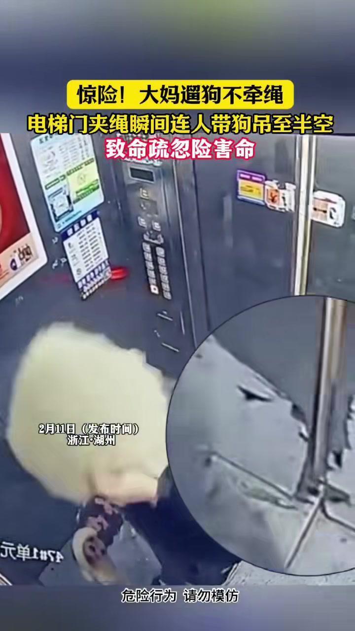 惊险!大妈遛狗不牵绳,电梯门夹绳瞬间连人带狗吊至半空,致命疏忽险...