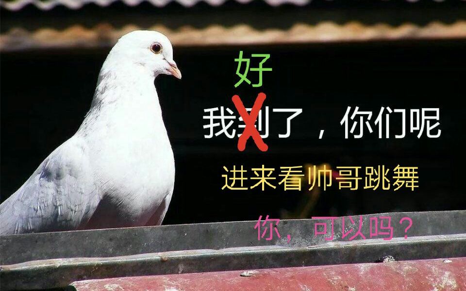 惊!史上最有钱男团主打曲《最后是你》舞蹈版流出,要打去舞室打!你...