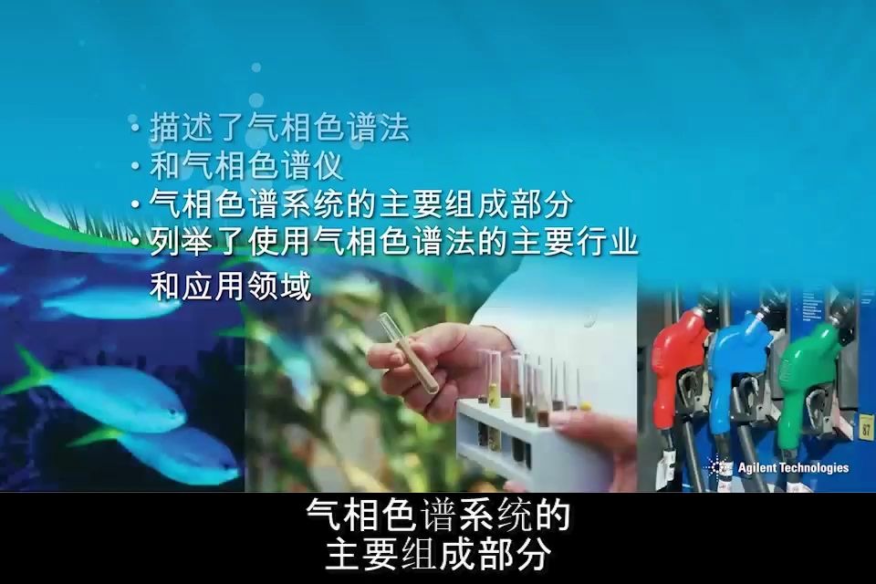 气相色谱(GC)的基本原理4