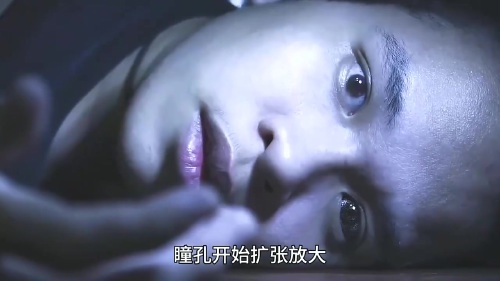 死亡分解实录!24小时遗体腐烂!微生物盛宴!