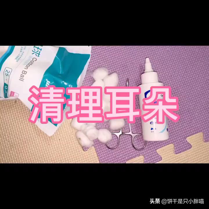 ...希望对你有帮助。工具建议是止血钳和医用棉球,药店都可以买的到。...