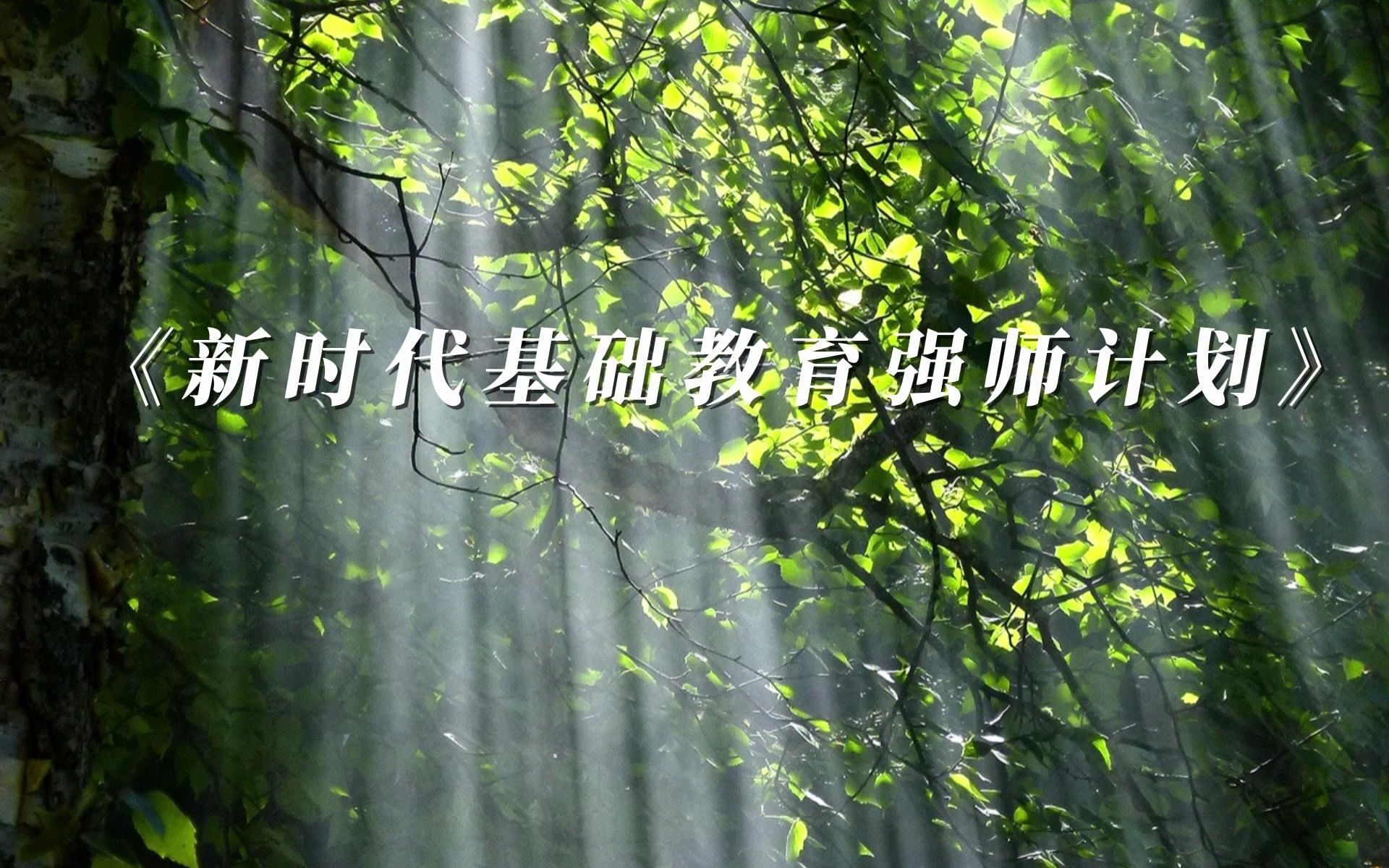 2022《新时代基础教育强师计划》试题