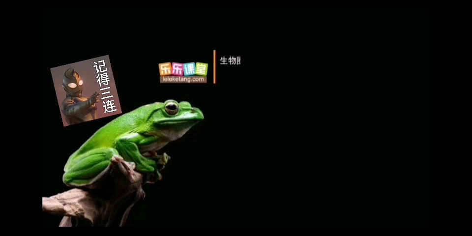 初二生物课堂:两栖动物的生殖和发育