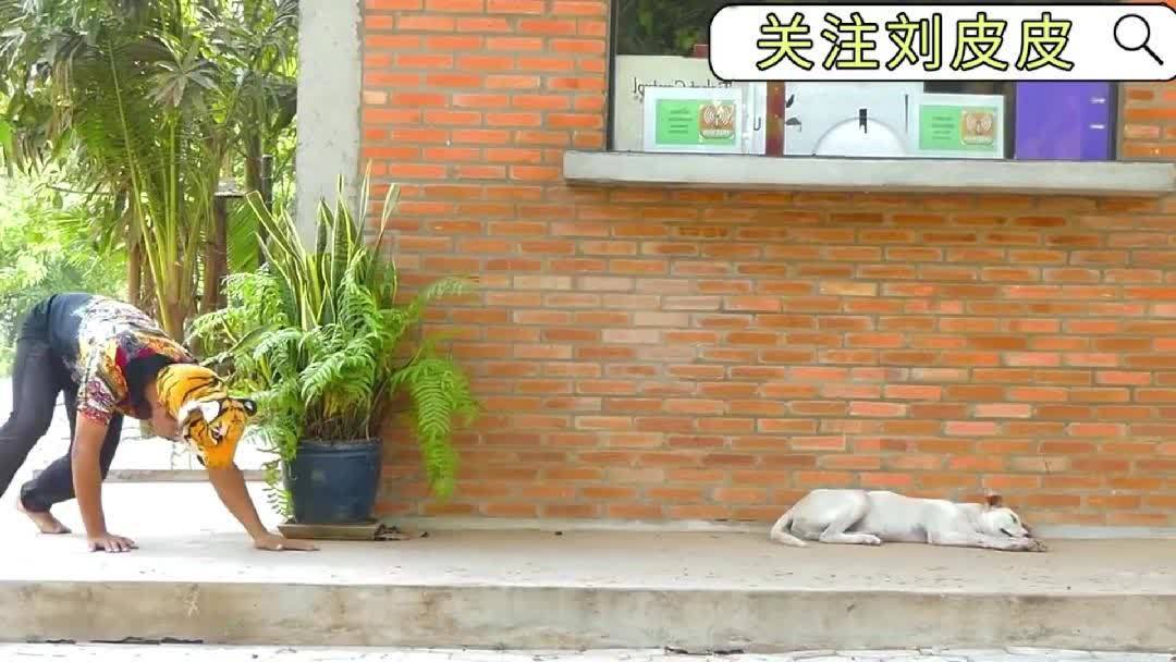 刘皮皮搞笑视频合集